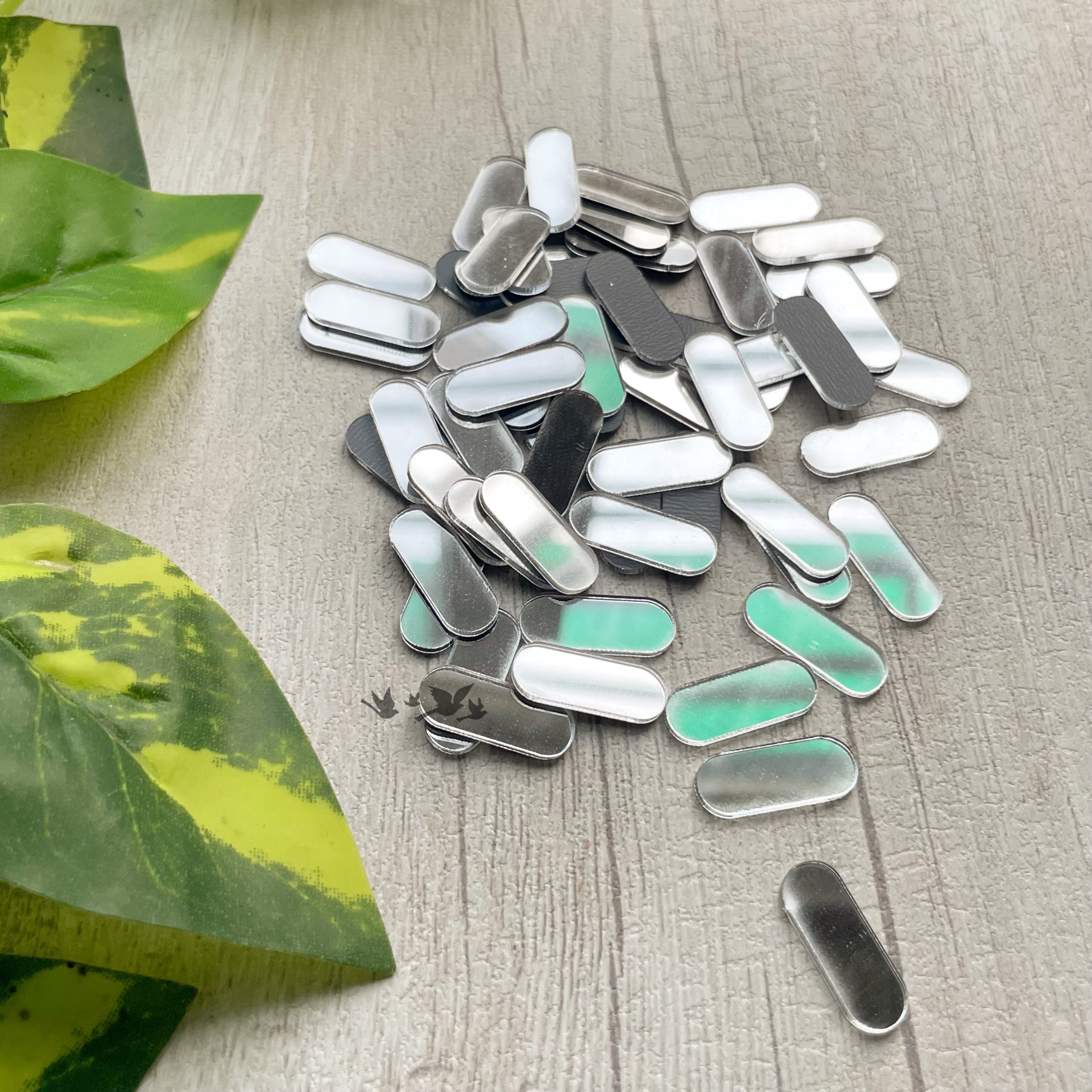Acrylic Mirror Cutout - Capsules (100 pc)
