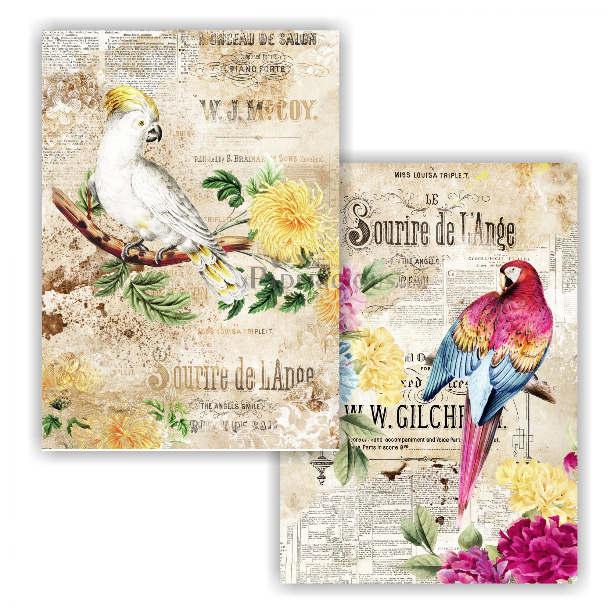 Papericious - Decoupage Papers - Enchanted- A4 size