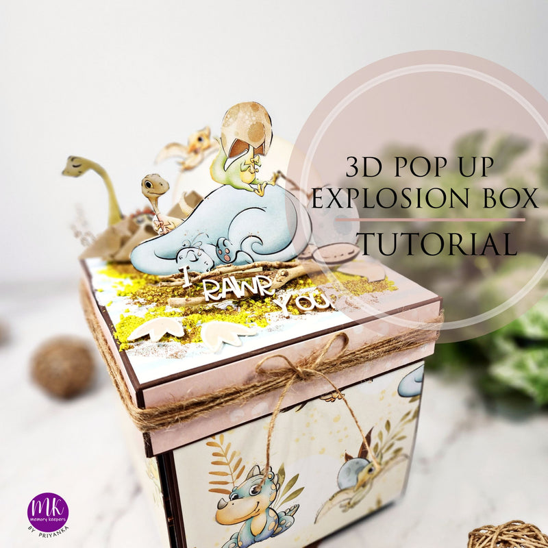 3D Pop Up Explosion Box